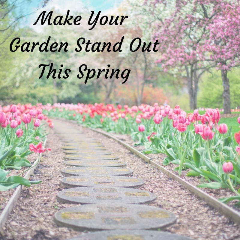 Make Your Garden Stand Out This Spring - Christmas Central
