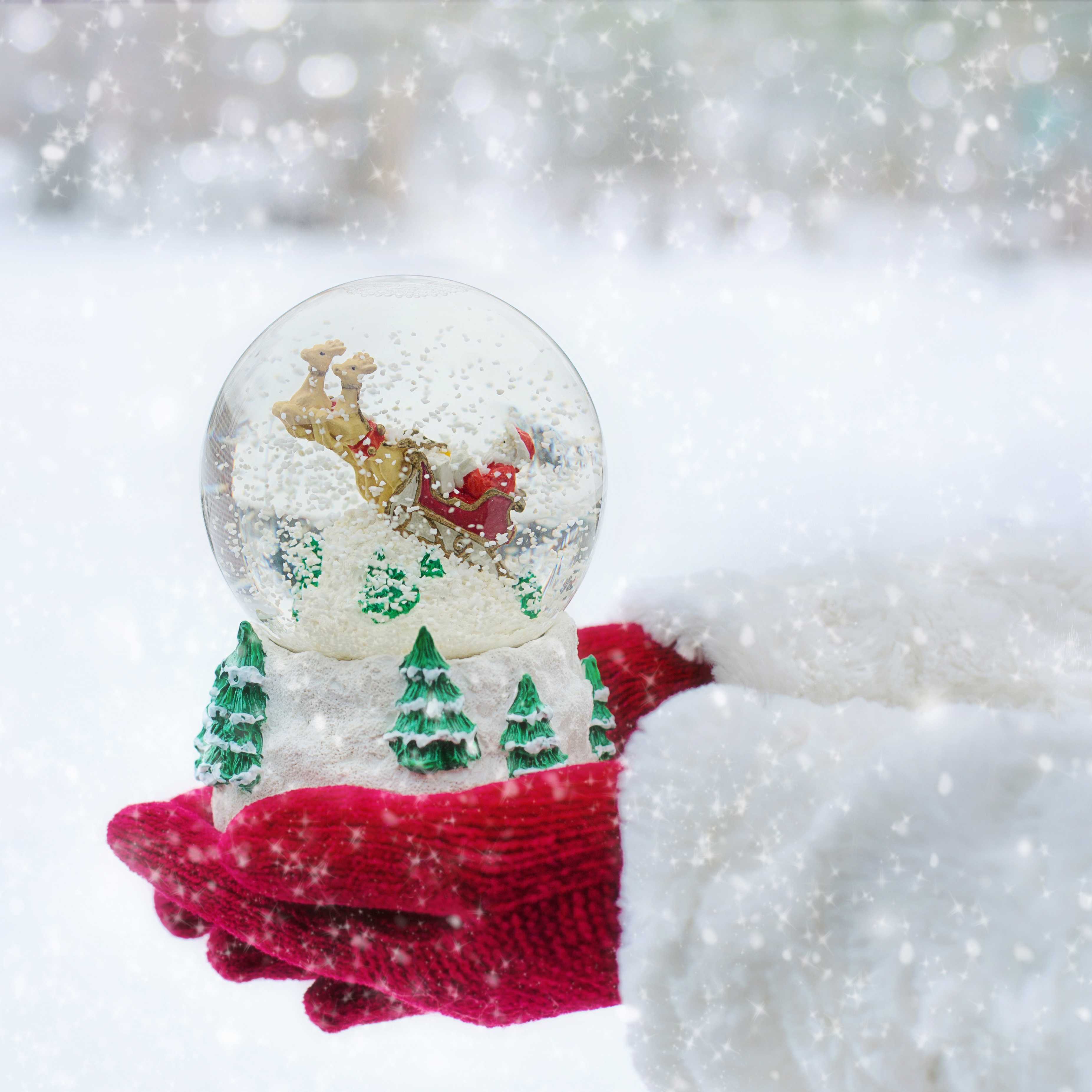 Snow Globe Showcase: Classic and Unusual Snowing Christmas Decorations ...