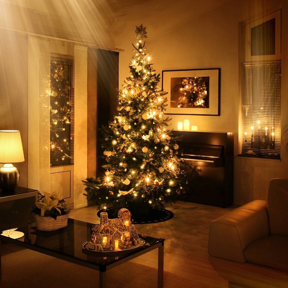 Our Short List of Christmas Trees for Small Spaces - Christmas Central