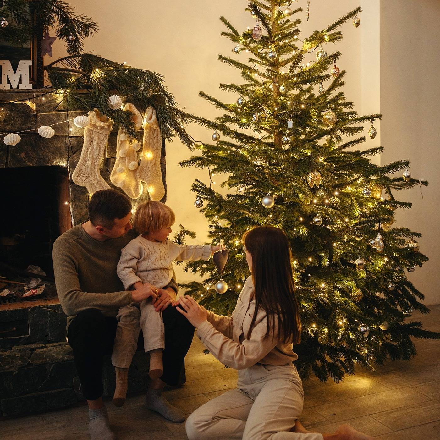 Spruce Up Your Season: Quick Tips for Picking the Perfect Christmas ...
