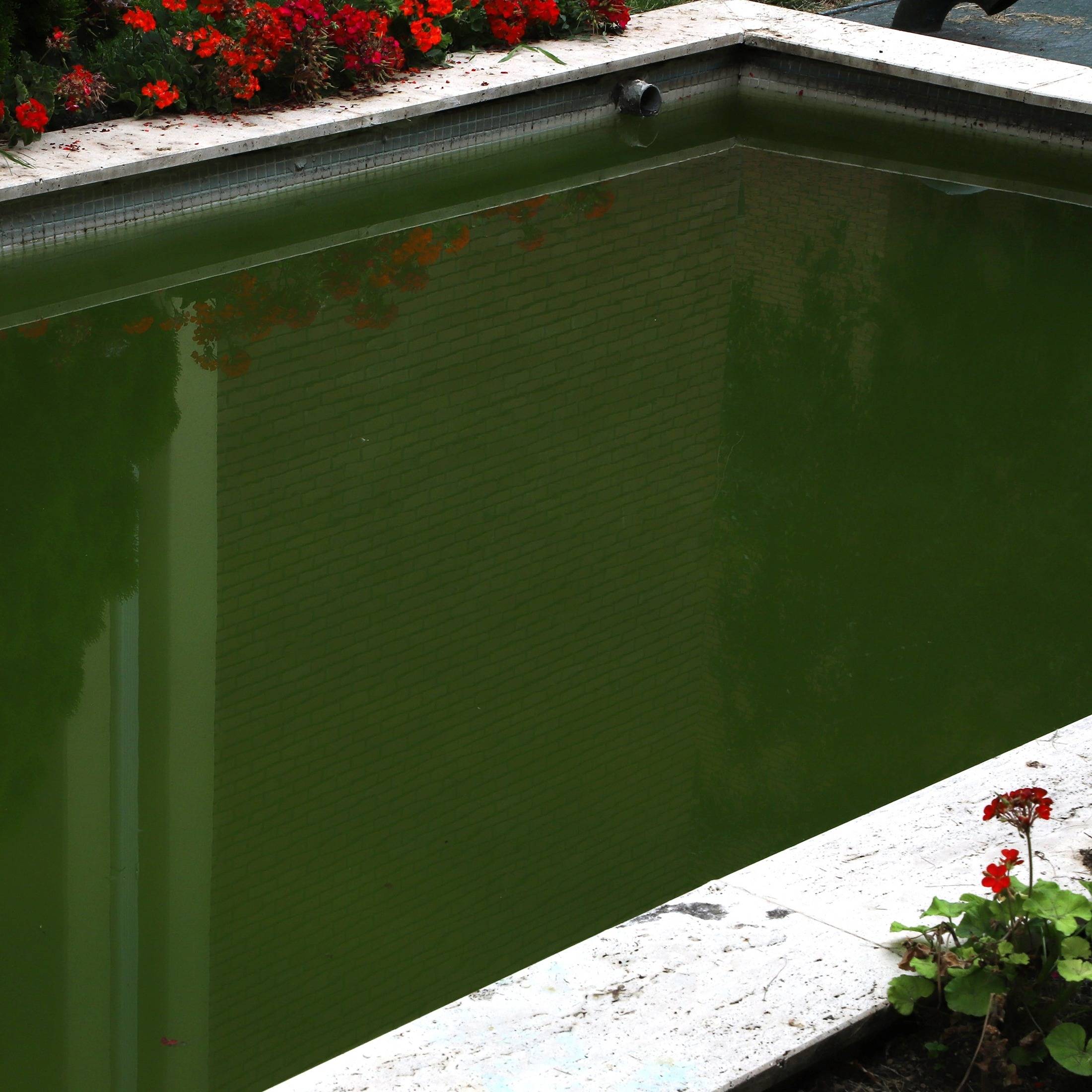 How to Clean Your Swimming Pool After a Flood - Christmas Central