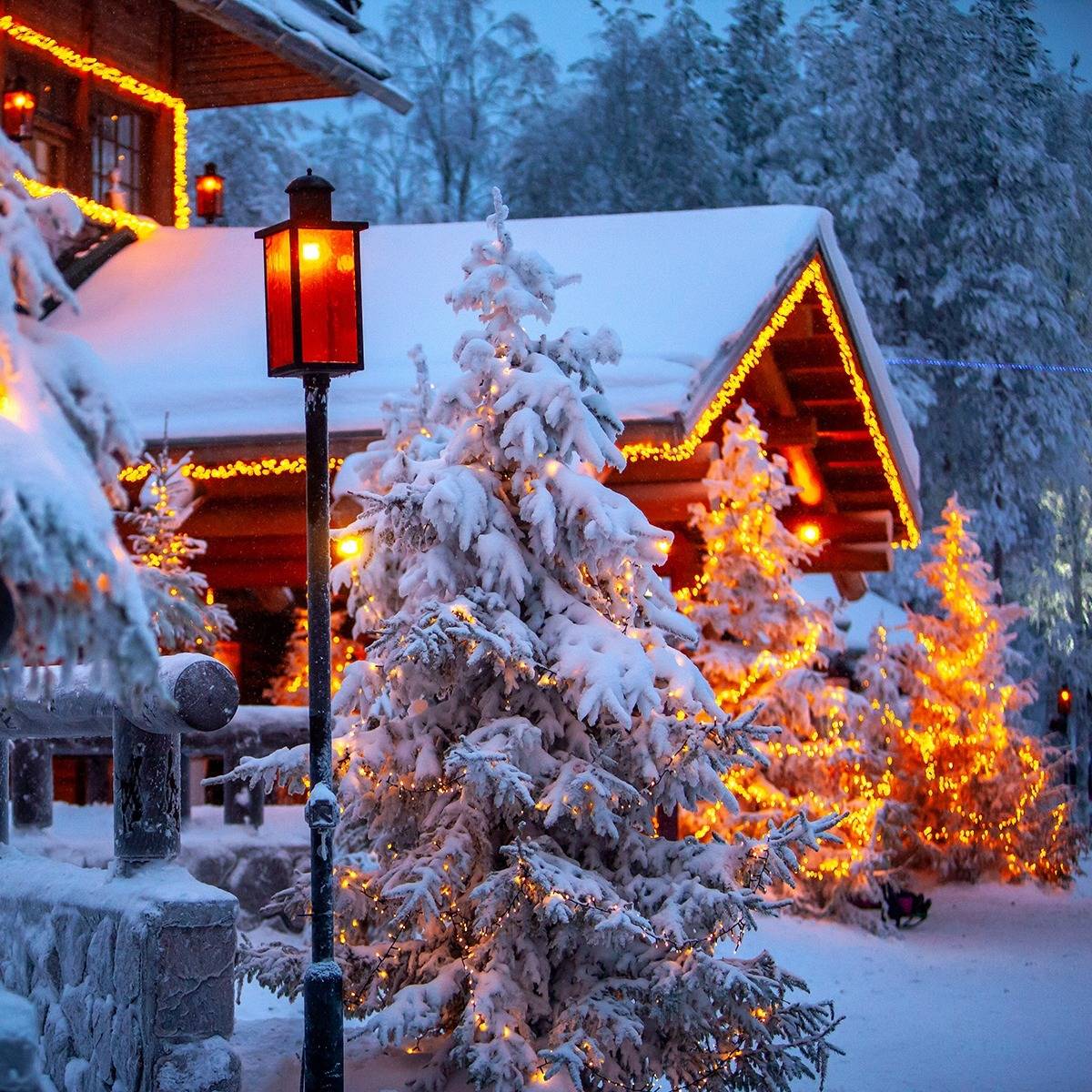 How to Find the Perfect Christmas Lights for Your Home's Holiday Glow ...