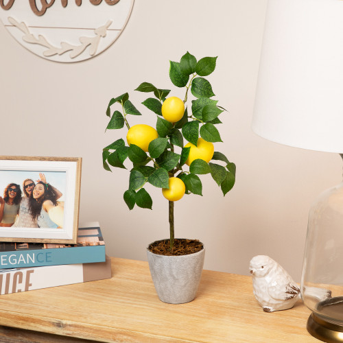 Artificial Potted Mini Lemon Tabletop Tree - 20" | Christmas Central