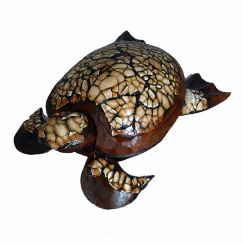 6" x 2" Brown & White Turtle Egg Shell Accent Decor | Christmas Central