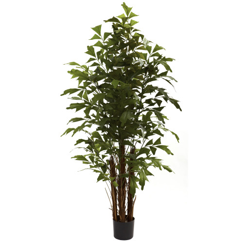 6' Fishtail Palm Artificial Tree in Black Pot | Christmas Central