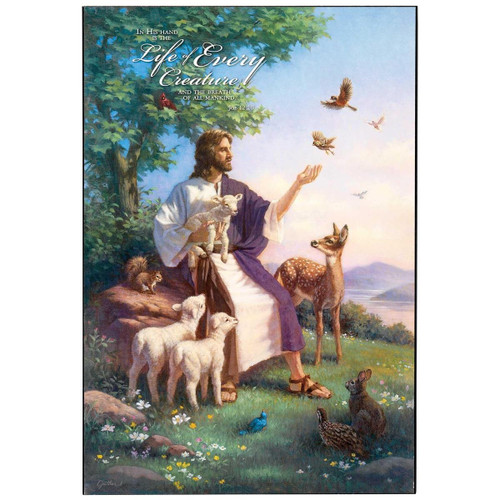 16" Green & Brown Jesus with Animals Wall Plaque | Christmas Central
