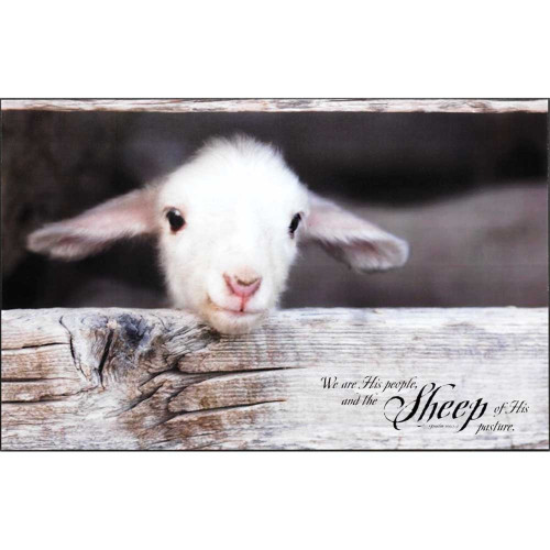 Sheep We are His People Rectangular Wall Plaque - 17" - White & Brown ...