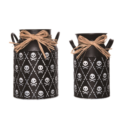 Set of 2 Skull & Crossbones Jugs Halloween Containers 10.5" | Christmas ...