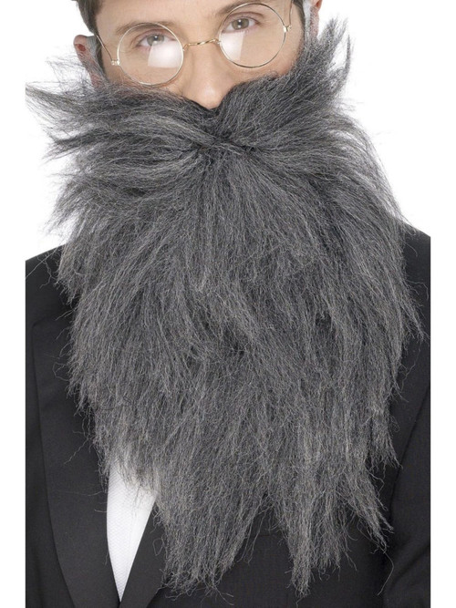 29" Gray Men Adult Halloween Long Beard & Tash with Specs Costume ...