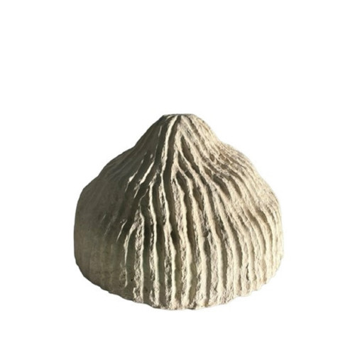 Large Paper Mache Shell Tabletop Decoration - 22.5" - Cream | Christmas ...