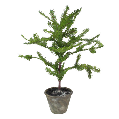 22" Green Artificial Mini Pine Tree in Paper Mache Pot | Christmas Central