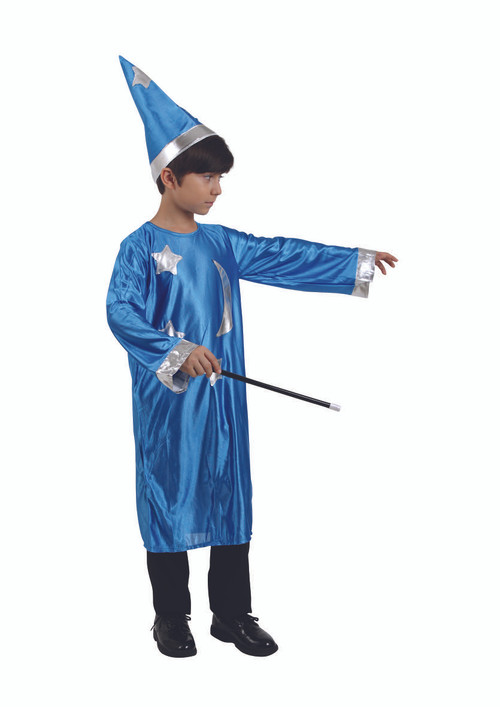 Blue & Silver Wizard Magician Boy Child Halloween Costume - Extra Large ...