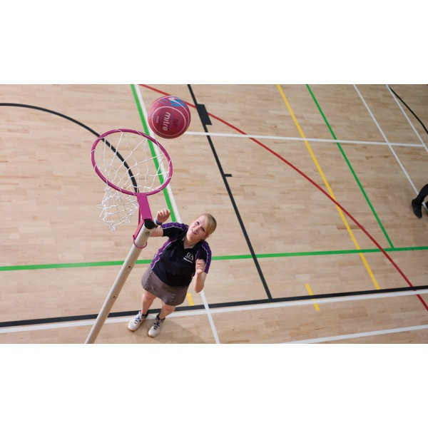 Pink Socketed Netball Posts | Harrod Sport