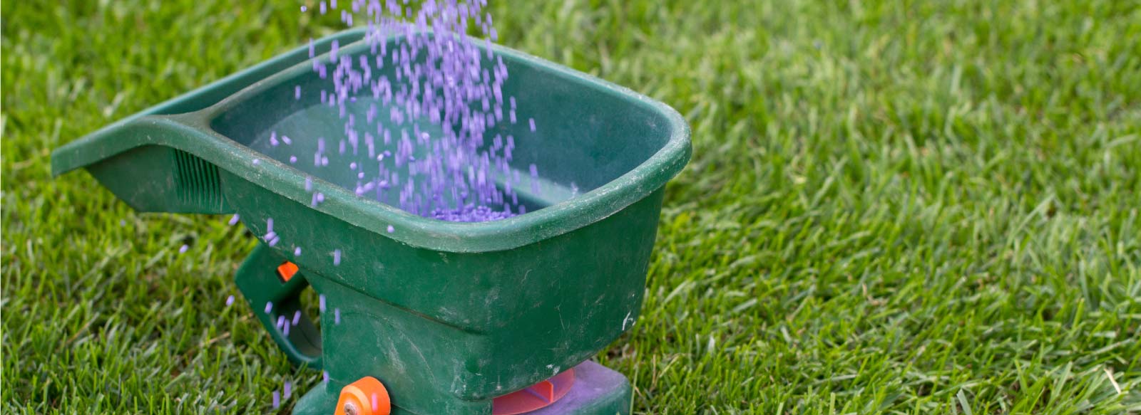 Understanding Fertilisers - Turfix