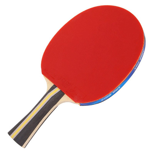 DHS 3002 FL Table Tennis Racket with Case - AGMC Sports