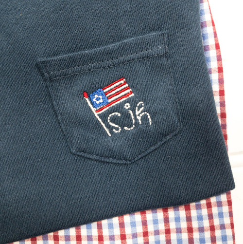 American Flag mini fill stitch patriotic machine embroidery design file