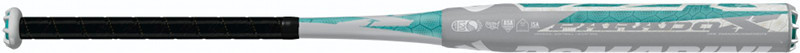 DeMarini CF6 Sprite WTDXCFS14 Women's Fastpitch Softball Bat (-11oz)