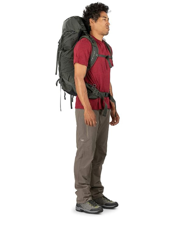 Osprey Kestrel 48 Men's Backpacking Backpack, Picholine Green , Medium ...