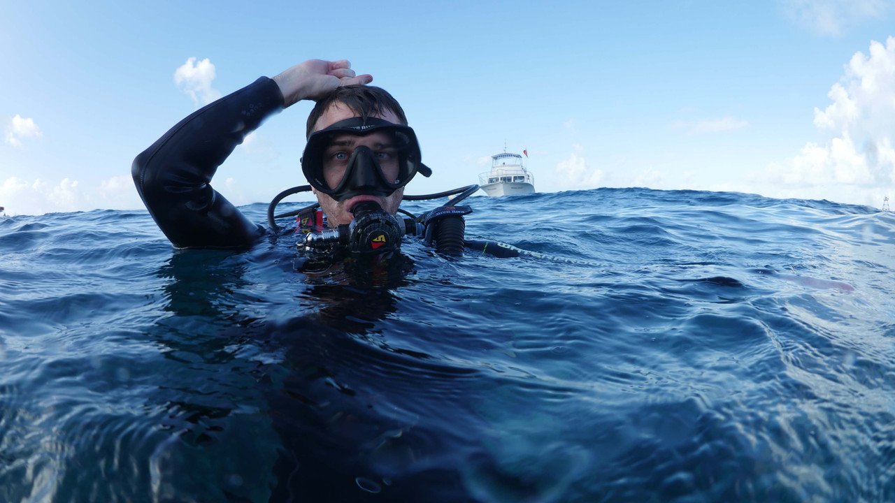 The Dive Outfitters