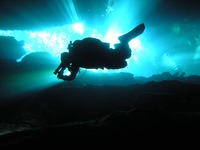 Proper Fin Kicking Technique - The Dive Outfitters Ltd