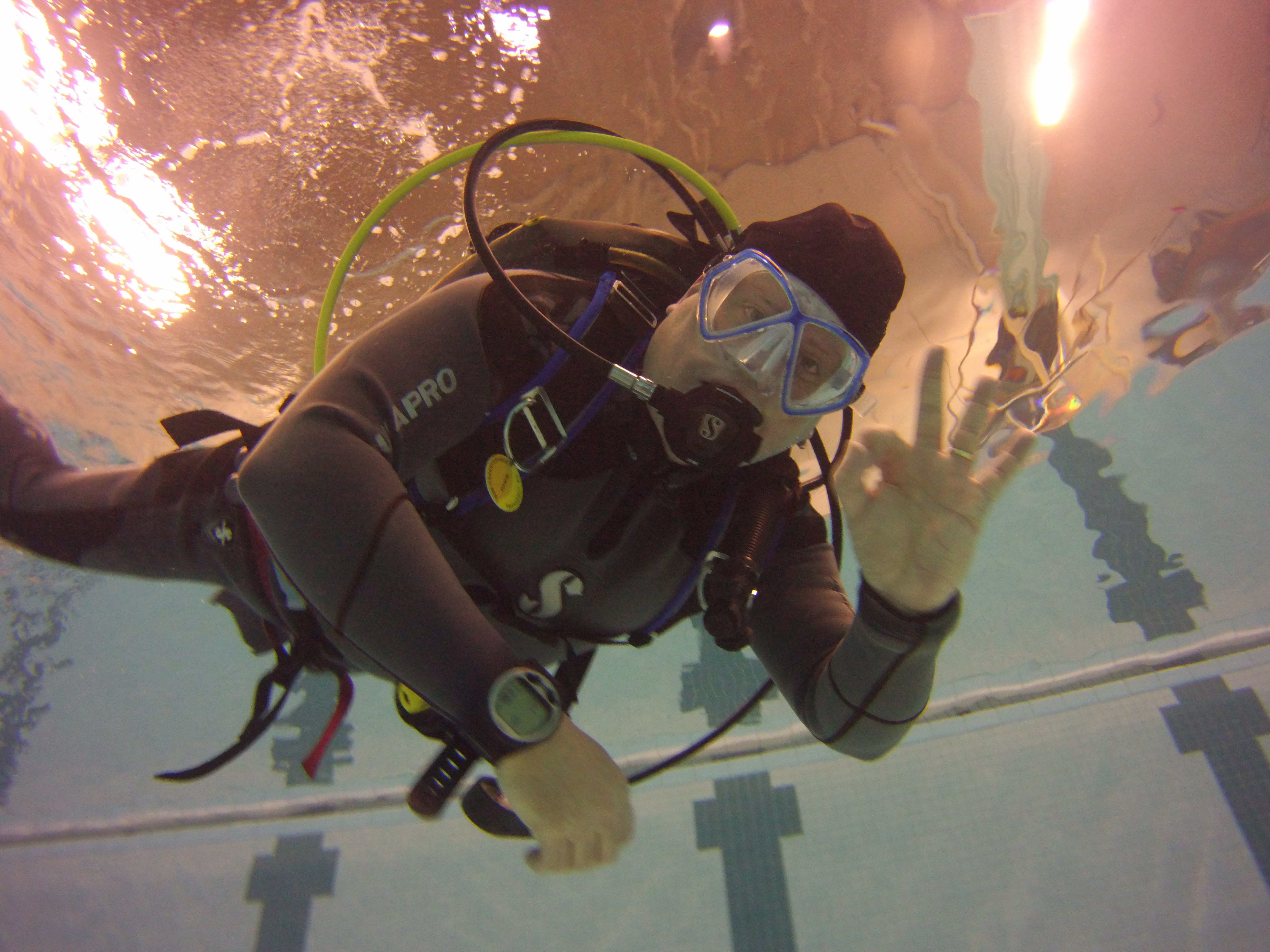 Winter Diving Activities - The Dive Outfitters Ltd