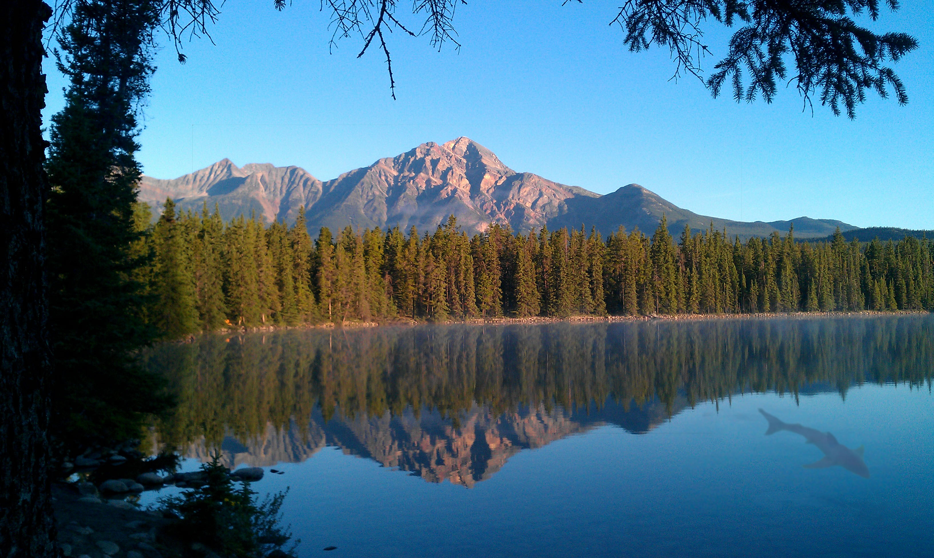 New species of shark discovered - The Dive Outfitters Ltd