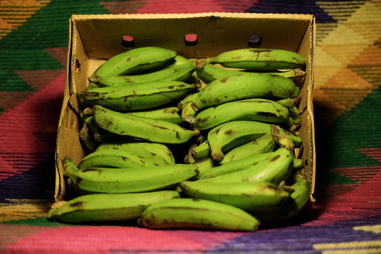matooke green bananas half
