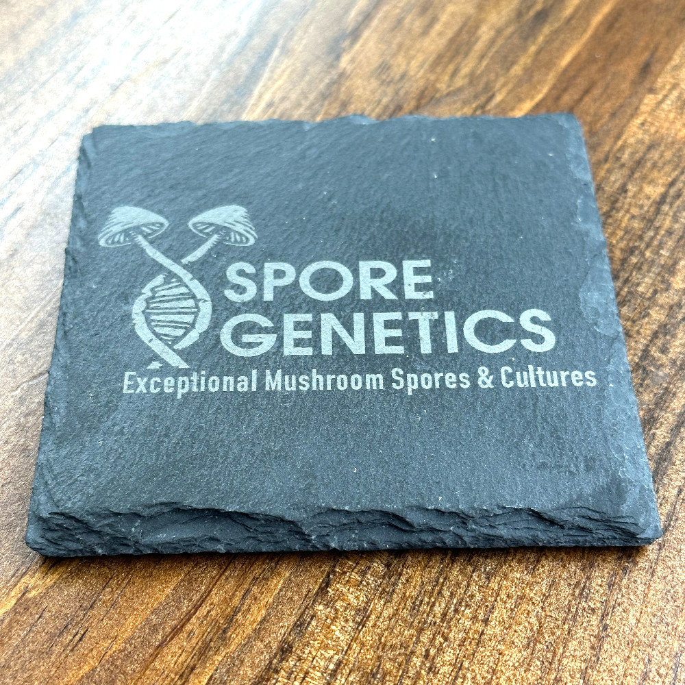 Spore Genetics Logo Slate Coaster – Official Mycology Merchandise