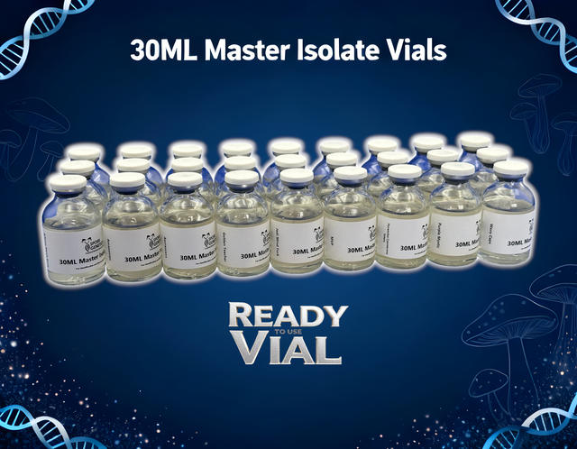 30ML Master Isolate Mushroom Vials | Spore Genetics
