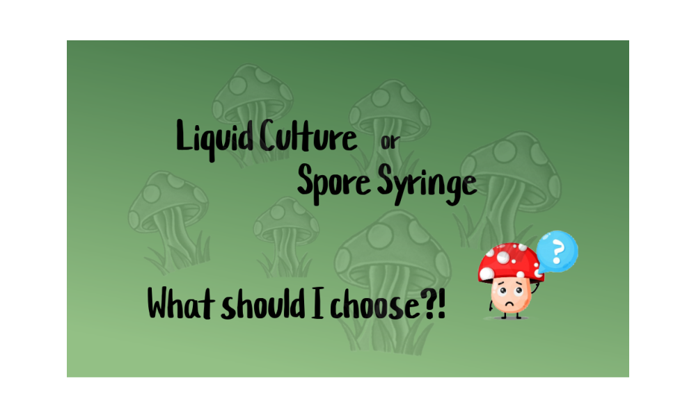 Differences Between a Spore Syringe and Liquid Culture Syringe - Spore ...