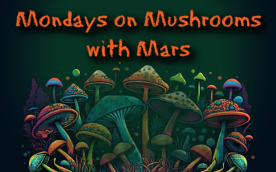 Mushroom Monday - Spore Genetics