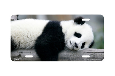 "Napping Panda" - Decorative License Plate - Airstrike