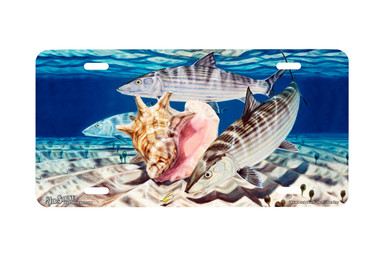 "Bones And Conch" - Decorative License Plate - Airstrike