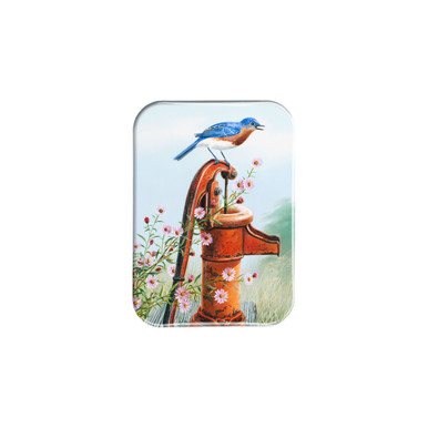 "Eastern Bluebird And Asters" - 2.5" X 3.5" Rectangle Fridge Magnets ...