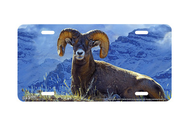 "Alpine Azure" - Decorative License Plate - Airstrike