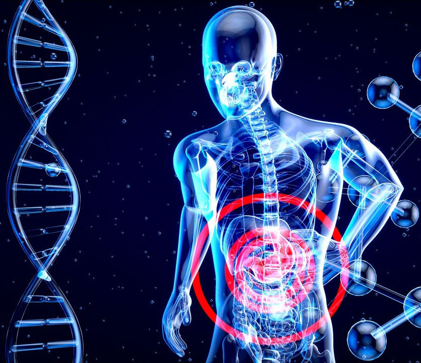 The Richway Bio-Belt: A Pioneering Wearable Health Device for Muscle ...