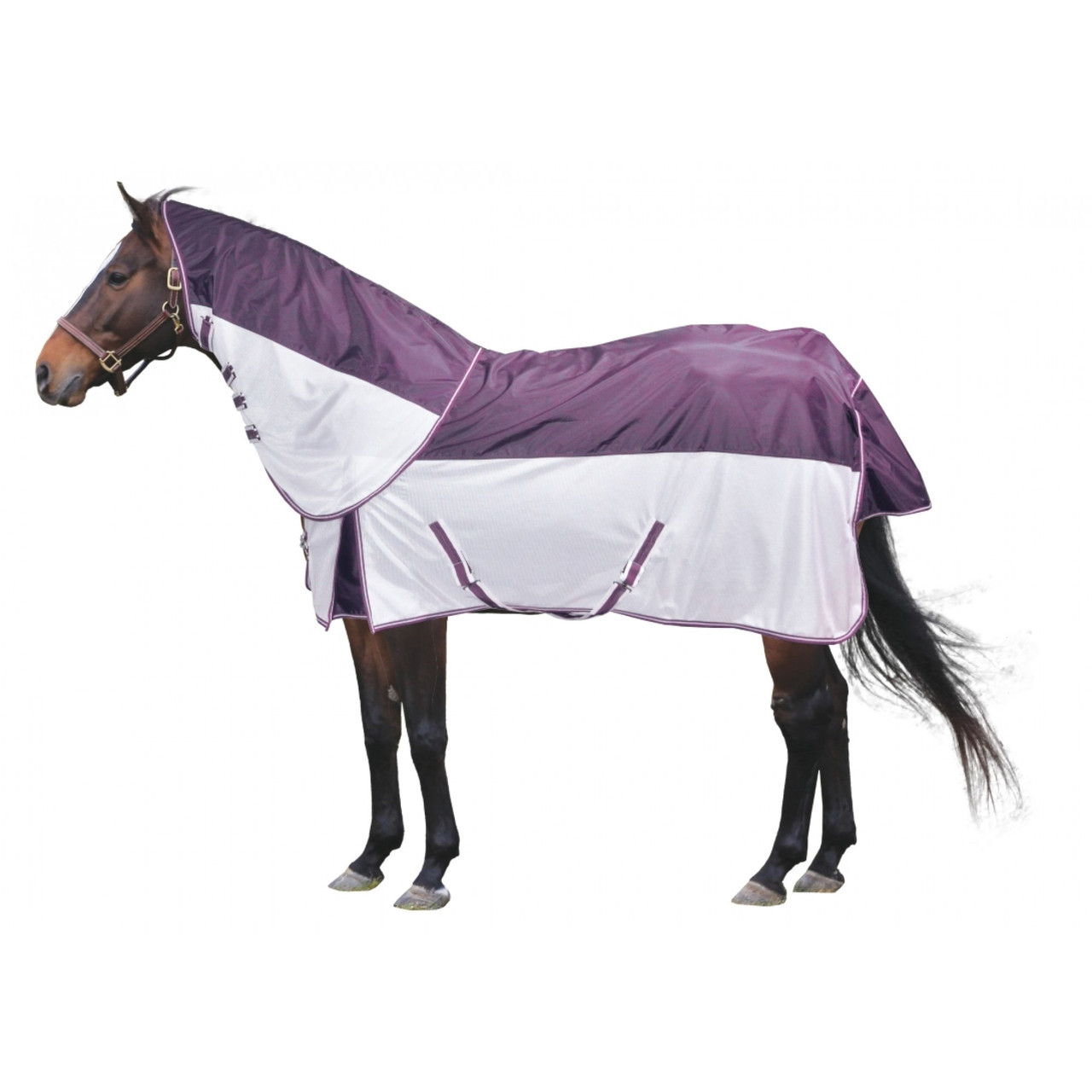 Century Fly & Rain Sheet Combo