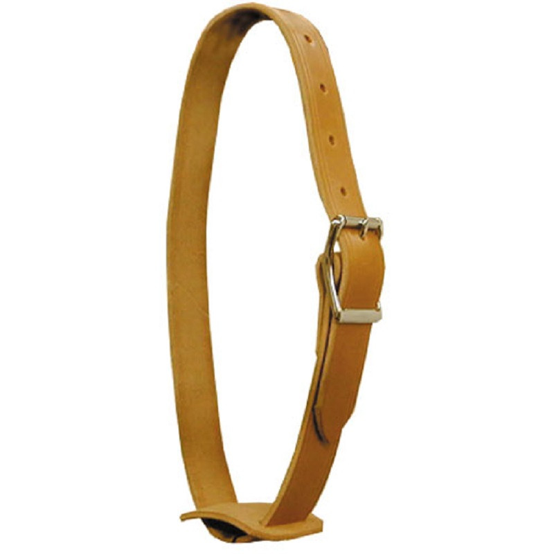 Horse Bell Strap