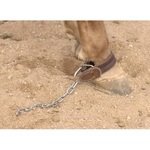 Professional's Choice Al Dunning Kicking Chain Hobble