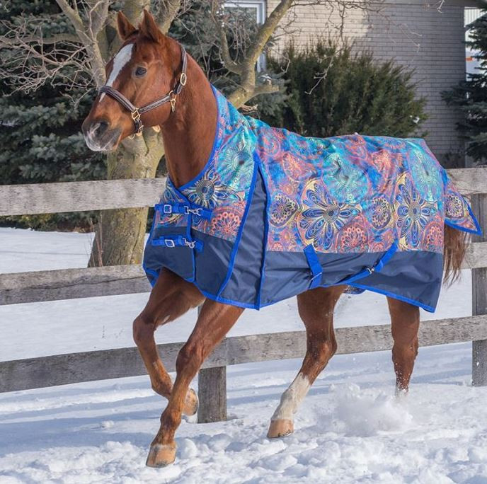 GER-RYAN SADDLERY INC Products - Keddies