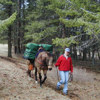 TrailMax Pack-A-Saddle Saddle Pannier Pack System : Keddie's Tack ...