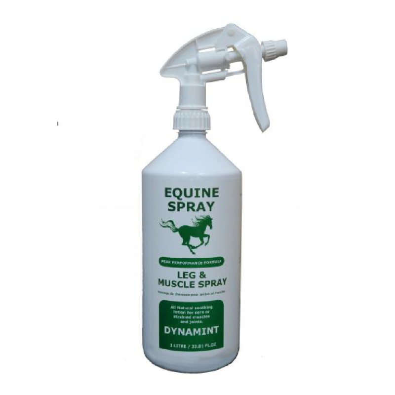 Dynamint Muscle & Leg Spray