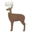 GlenDel Pre-Rut Buck w/ 4-Sided Insert - Ammunitions for Sale