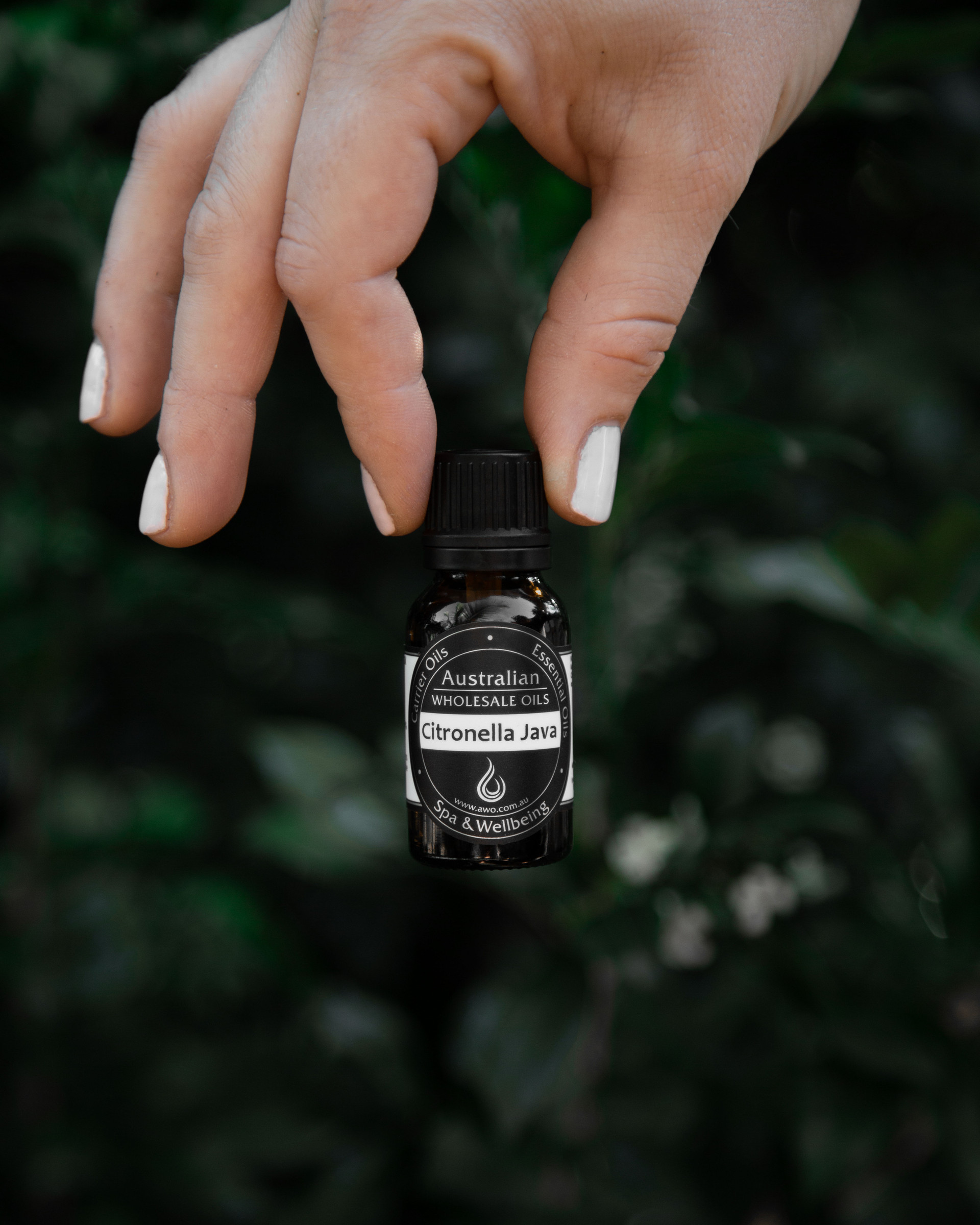 Citronella Java Essential Oil (100% Pure) | AWO