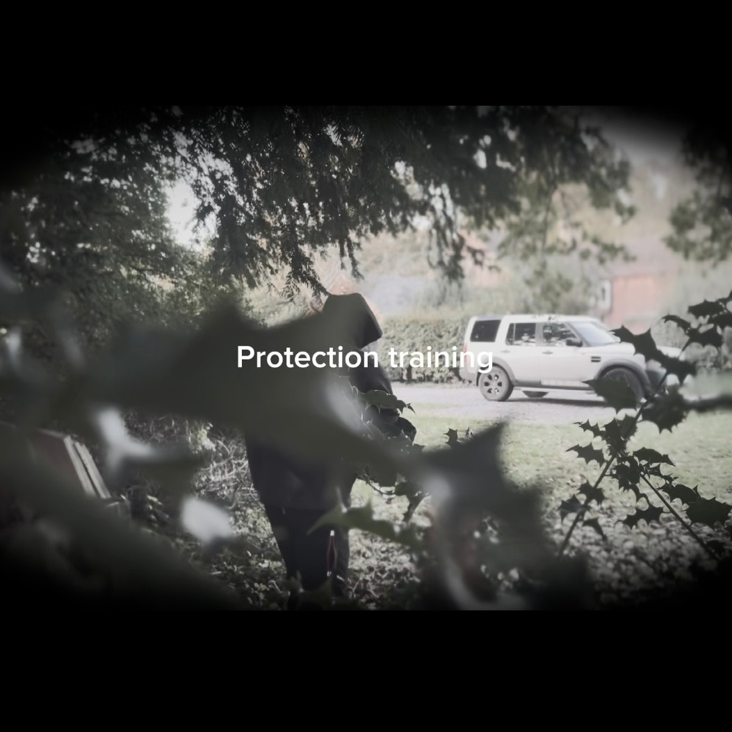 Basic Protection Training
