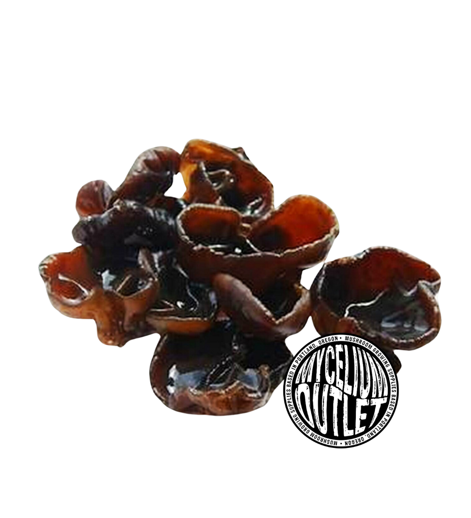 Sterilized Mushroom Spawn Bags Contaminant Free Cultivation Essentials