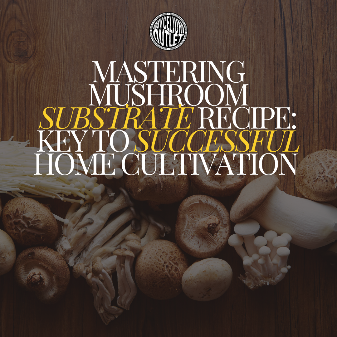 Master the Art of Mushroom Growing: Top Substrate Recipes for Home ...