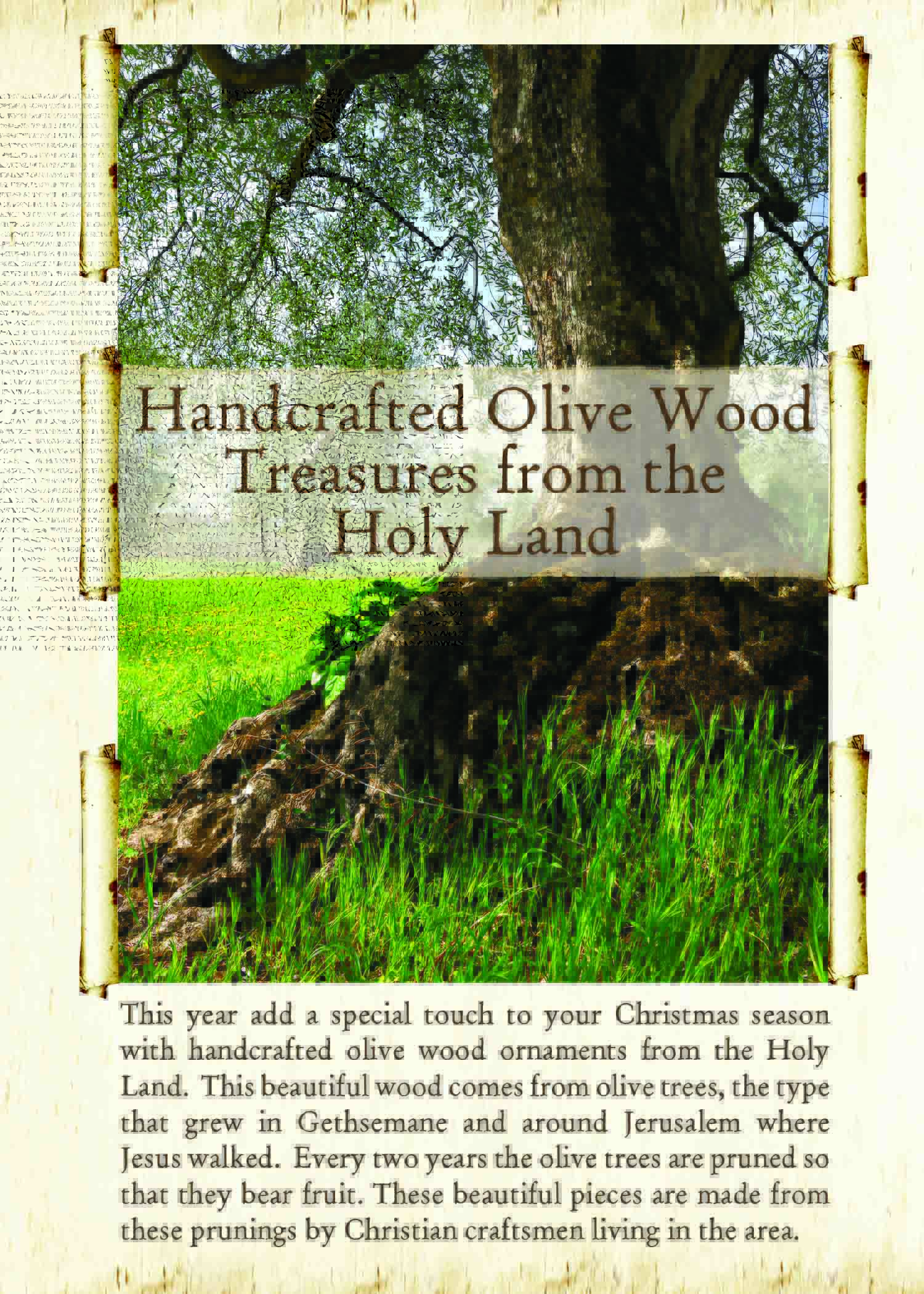 Olive Tree - Earth Wood Products