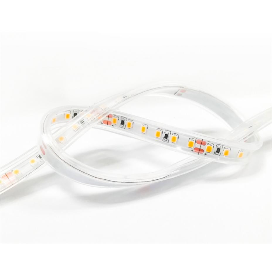 Outdoor 2835 LED Strip Light - 120D, 12V, 10W/m, 8mm Width, IP67 ...
