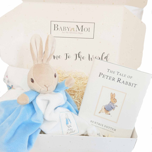 Baby Boy Gift Box Peter Rabbit Comforter and Book - Nappy Cake Shop